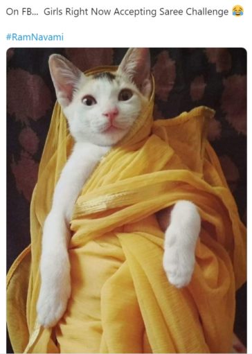 Indian Girls After Accepting Saree Challenge On Facebook