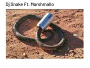 DJ Snake Ft. Marshmallo Meme