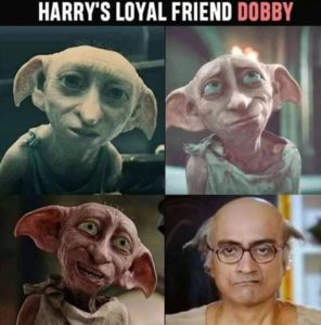 Harry Potter Friend Dobby