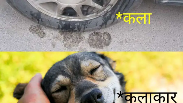 Top 20 Doge Meme Templates Of All Time - HumorNama