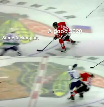 When A Bat Came Straight Into The Year 2020