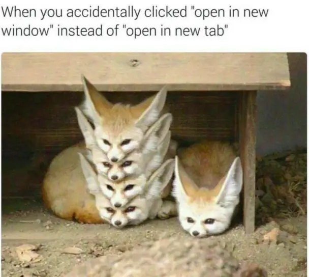 Funny Browser Memes, Videos And GIFs | HumorNama