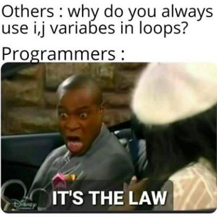 Watching Ants Eat The Sugar