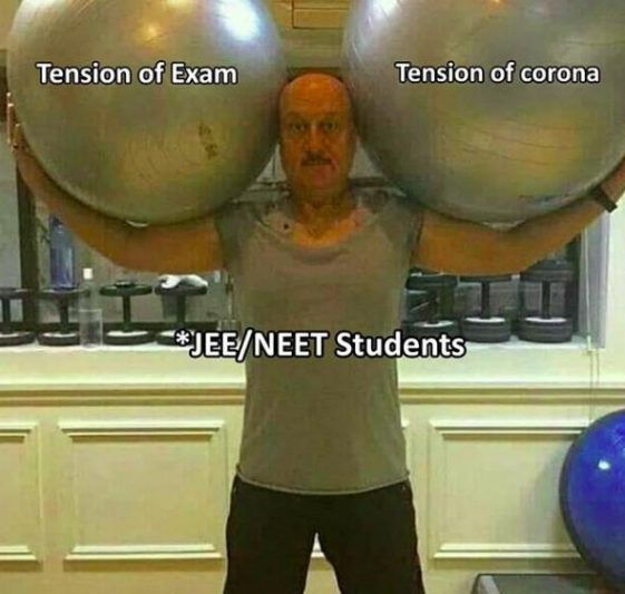 Funny NEET Memes, Videos & GIFs | HumorNama
