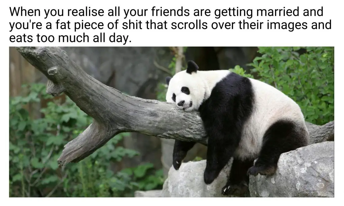 Everyone Is Getting Married Meme