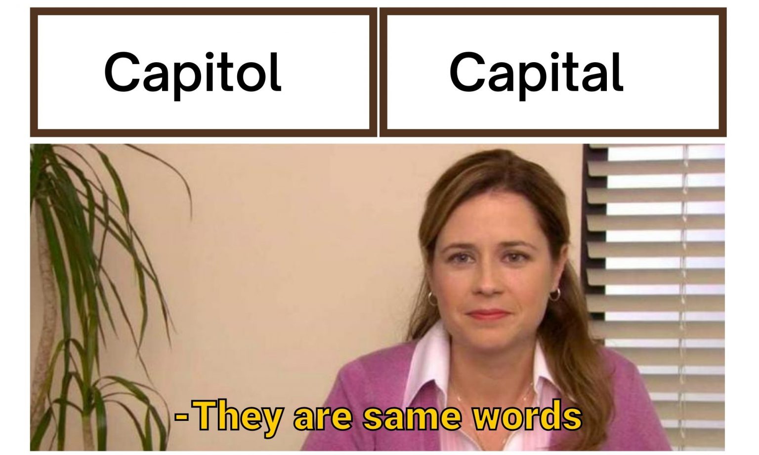 Capital Vs Capitol Meme Ft. They Are The Same Picture