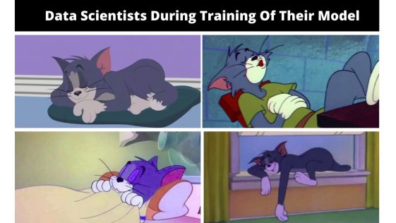 That Clever Data Scientist