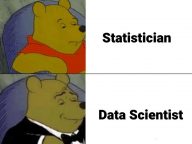 Data Scientist Vs Statistician Meme