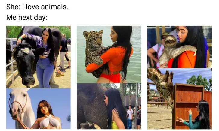 Jailyne Ojeda Meme Ft. Animals
