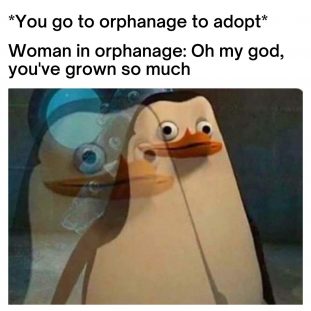 Funny Cartoon Memes, Videos And GIFs | HumorNama