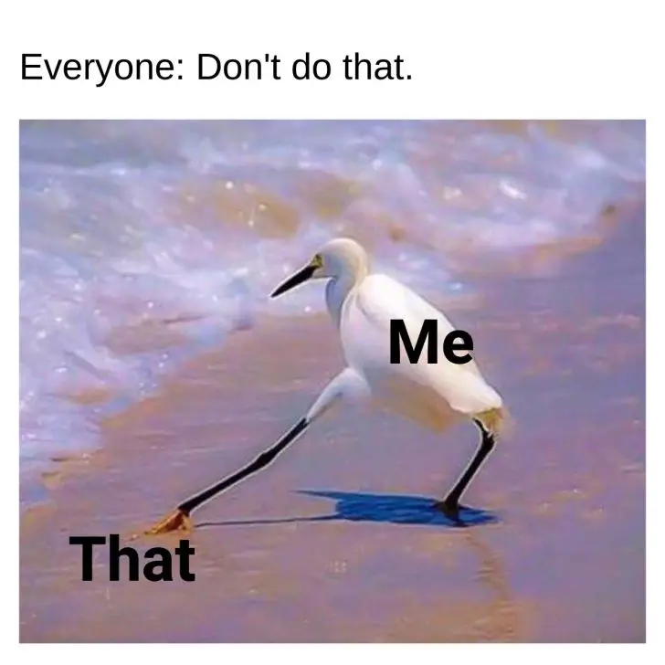 Funny Beach Memes, Videos And GIFs | HumorNama