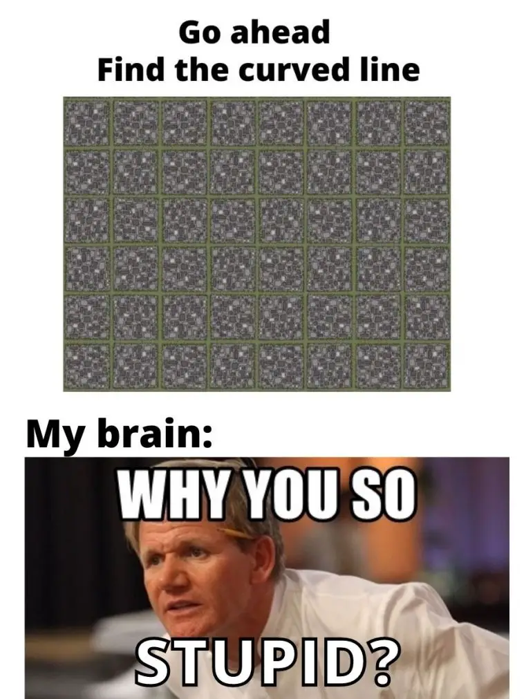 Find The Curved Line Meme