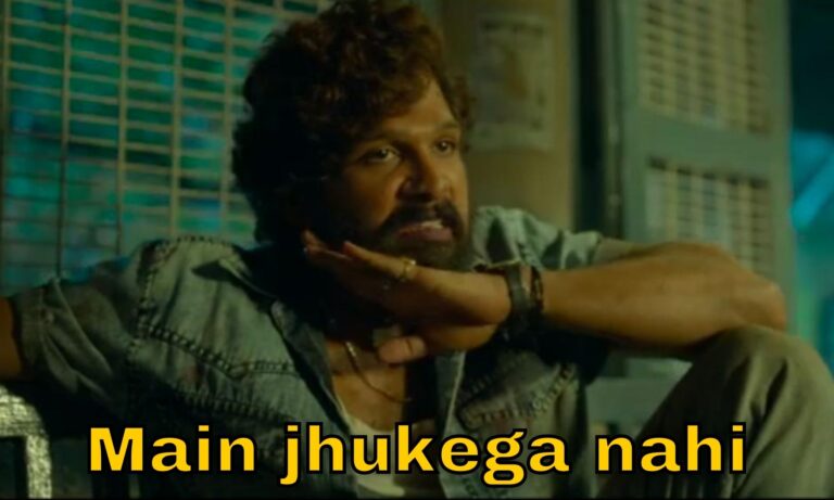 Funny Allu Arjun Memes, Videos And GIFs | HumorNama