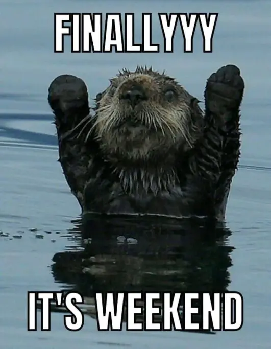 30 Funny Weekend Memes About Having Great Time In 2025