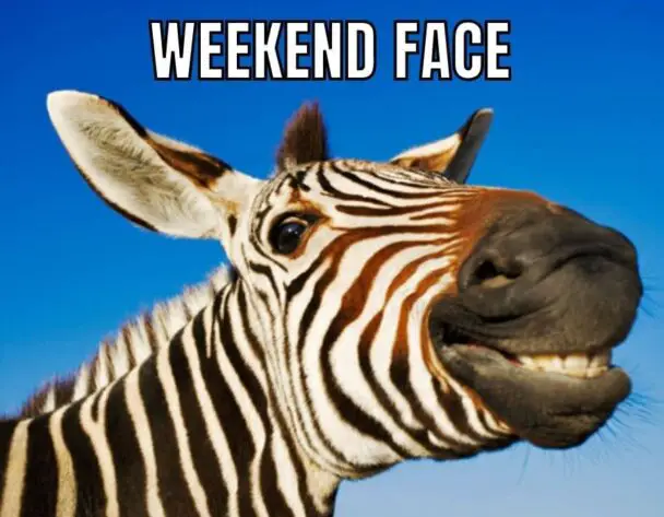 30 Funny Weekend Memes About Having Great Time In 2025