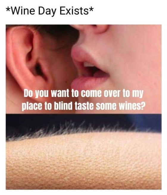 30 Best National Wine Day Memes To Uncork Fun In 2024