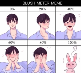 Blush Meter Meme Template - HumorNama