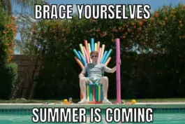 40 Best Summer Memes That'll Help You Cool Down In 2025
