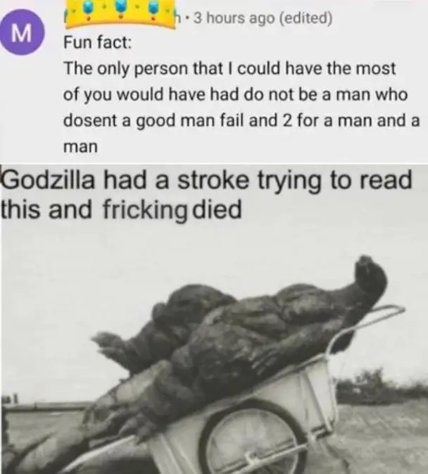 Godzilla Had A Stroke - Meme Template