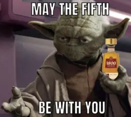 35 Best Cinco De Mayo Memes For Celebrations In 2025