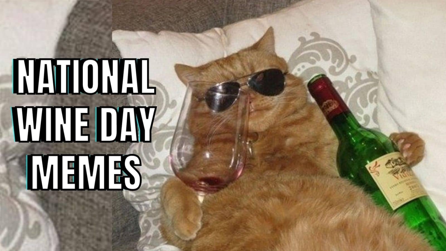 30 Best National Wine Day Memes To Uncork Fun In 2024