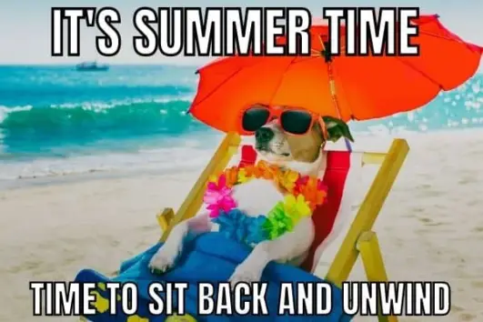 40 Best Summer Memes That'll Help You Cool Down In 2025