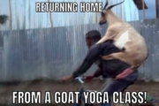 25 Yoga Memes That Are Really A Bit Of A Stretch In 2023