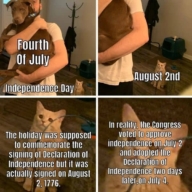 40 Best 4th Of July Memes For Independence Day In 2025