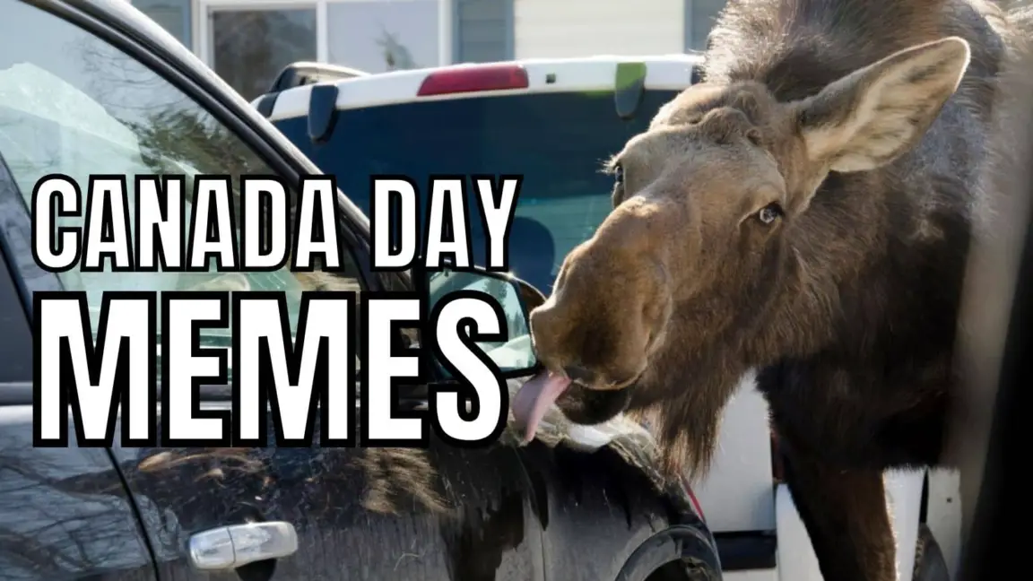 50 Funny Newfie Jokes Straight From The Newfoundland