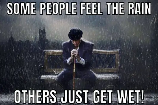 20 Funny Rain Memes To Lift Dampened Moods In 2024