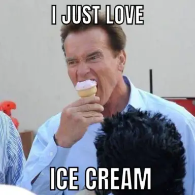 25 Funny Ice Cream Memes We’ll Scream For Today