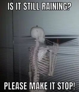20 Funny Rain Memes To Lift Dampened Moods In 2024
