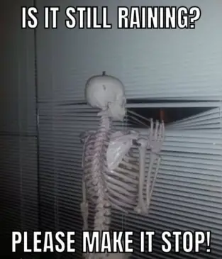 20 Funny Rain Memes To Lift Dampened Moods In 2024
