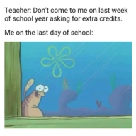 20 Best Last Day Of School Memes To Celebrate Freedom