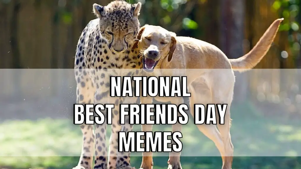 22 National Best Friends Day Memes For BFF In 2025