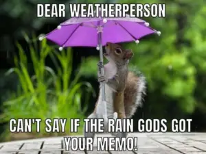 20 Funny Rain Memes To Lift Dampened Moods In 2024