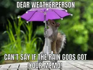 20 Funny Rain Memes To Lift Dampened Moods In 2024