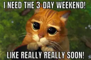 25 Best 3-Day Weekend Memes To Complete Long Weekend
