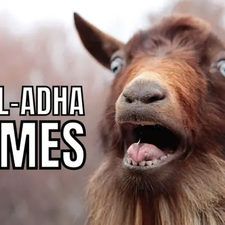 30 Funny Eid Jokes & Puns For Muslims In 2022 - HumorNama