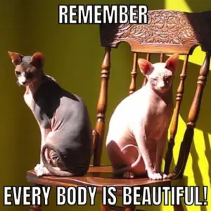 10 National Nude Day Memes To Celebrate Naturism In 2026