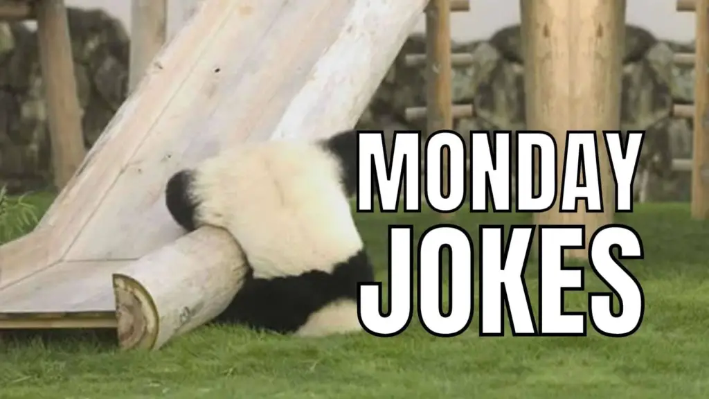 60 Saturday Jokes And Puns To Start A Weekend