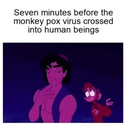 20 Monkeypox Memes To Lighten The Mood In 2023