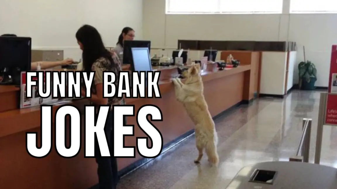 85 Funny Bank Jokes To Share With A Banker - HumorNama