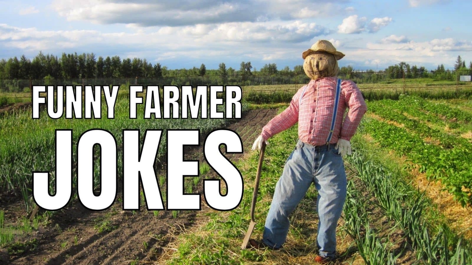 150 Funny Farmer Jokes That You’ll Dig Up Daily