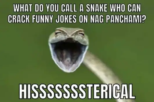 25 Funny Nag Panchami Memes And Jokes In 2023