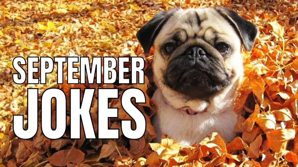50 Funny September Jokes To Make You Laugh In 2025