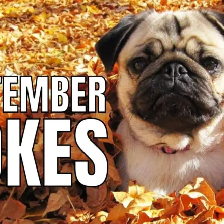 55 Labor Day Jokes For Celebrating 3-Day Weekend In 2022