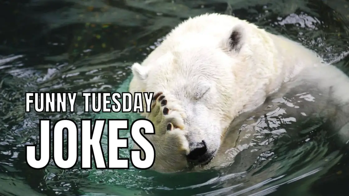50 Funny Tuesday Jokes For Second Day Of Week - HumorNama