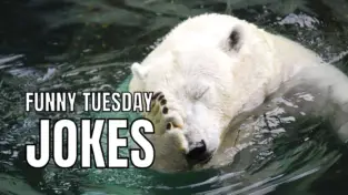 50 Funny Thursday Jokes To Make You Laugh In 2023