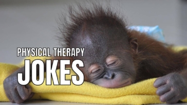 60 Funny Physical Therapy Jokes For Physiotherapists